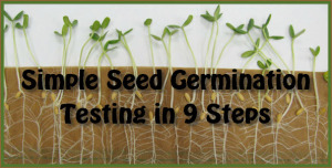 Germination Test Quality Seeds | Canadian Off The Grid